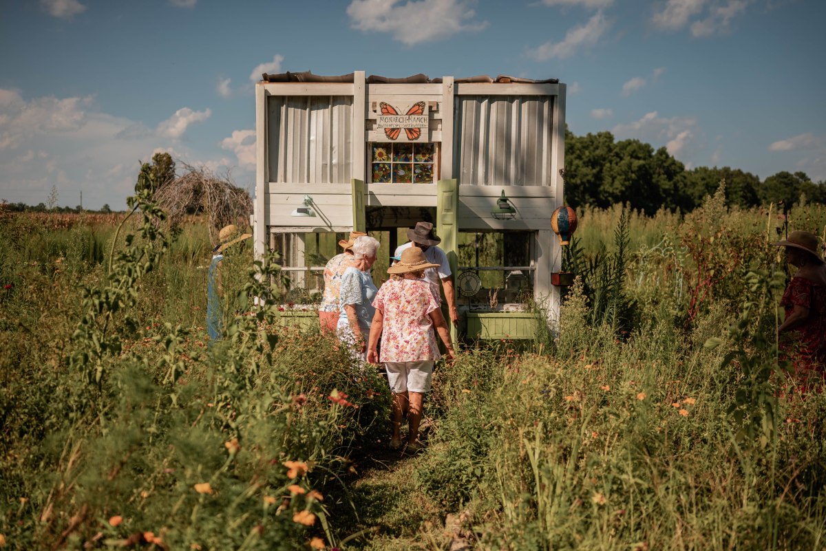 Immersive Learning – Monarch Ranch Butterfly Conservatory